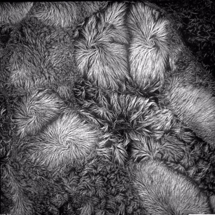Robert David & Adrian Diaconu, "Bacterial Motion (Edit One)" - The Awl