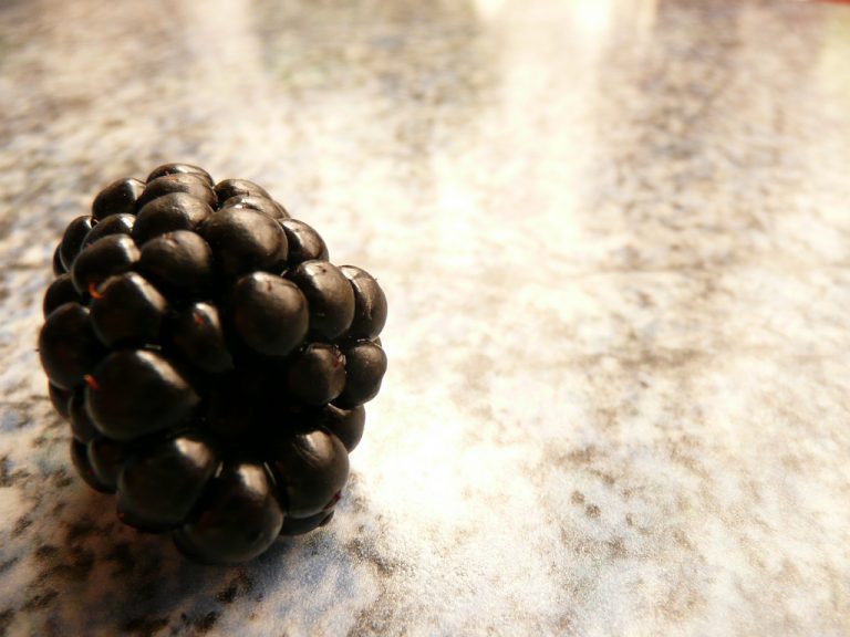 Small Bursts - The Awl